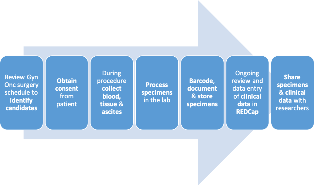 Gynecologic Oncology Tissue Bank - Center for Reproductive Health Sciences